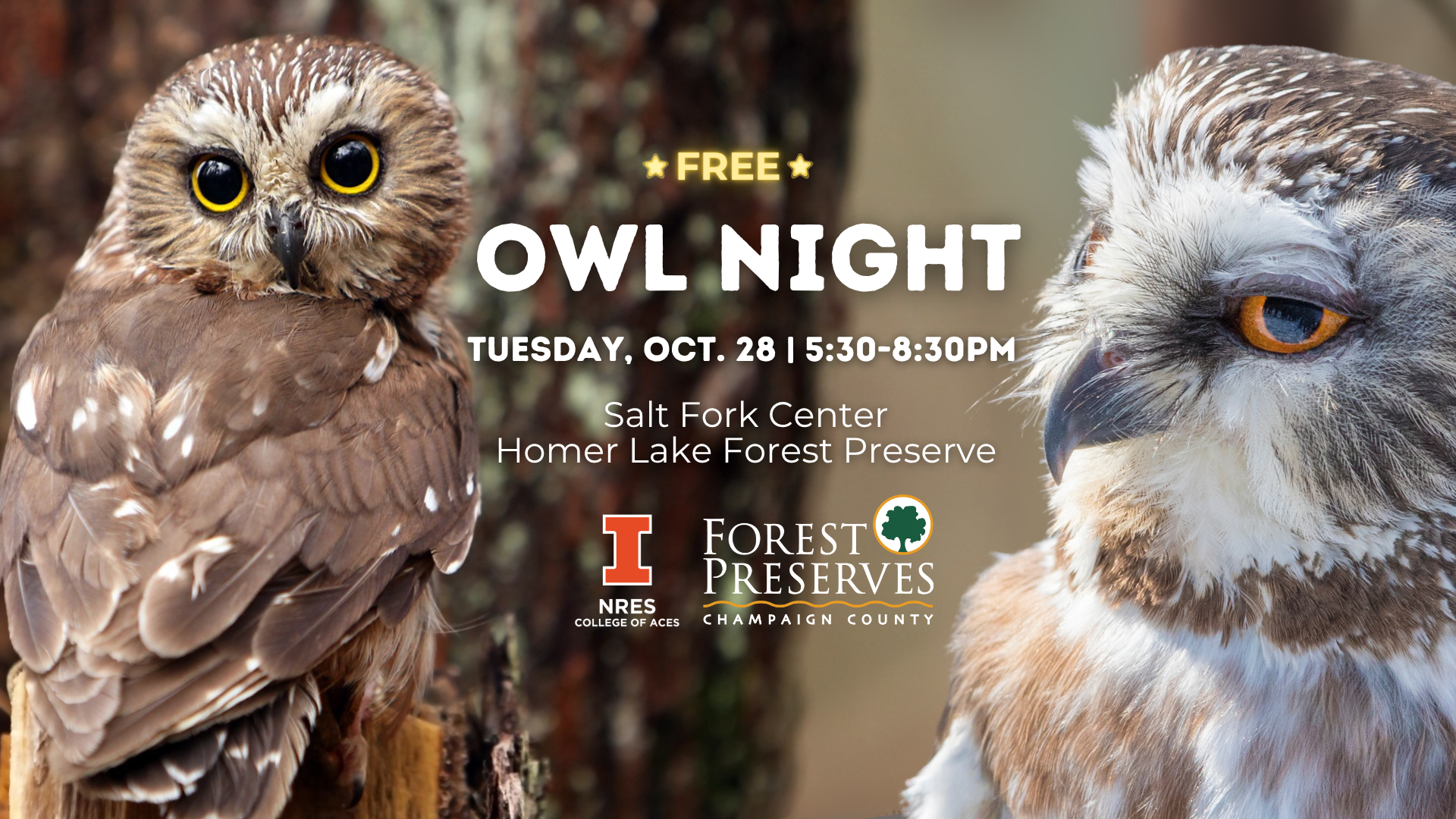 OWL NIGHT